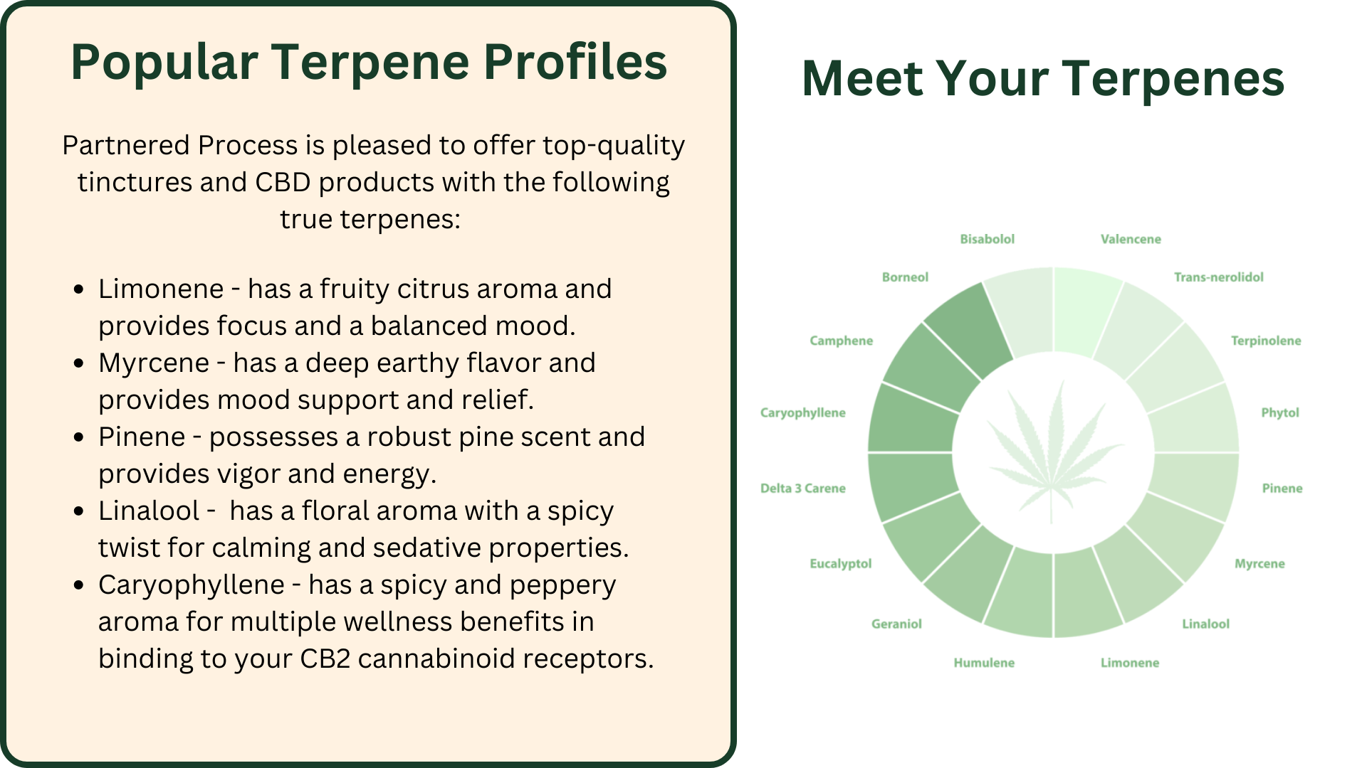 Partnered Process: 🔬 What Makes the True Terpenes at Partnered Process ...