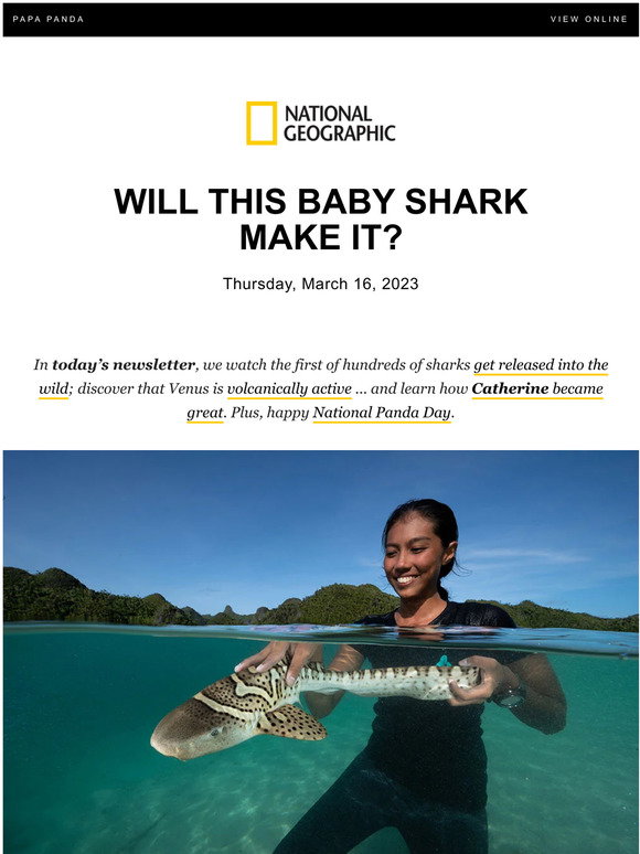 National Geographic: EXCLUSIVE: 500 baby sharks to be released in ...