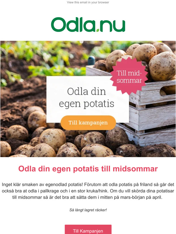 Odla.nu: Odla egen potatis till midsommar! | Milled
