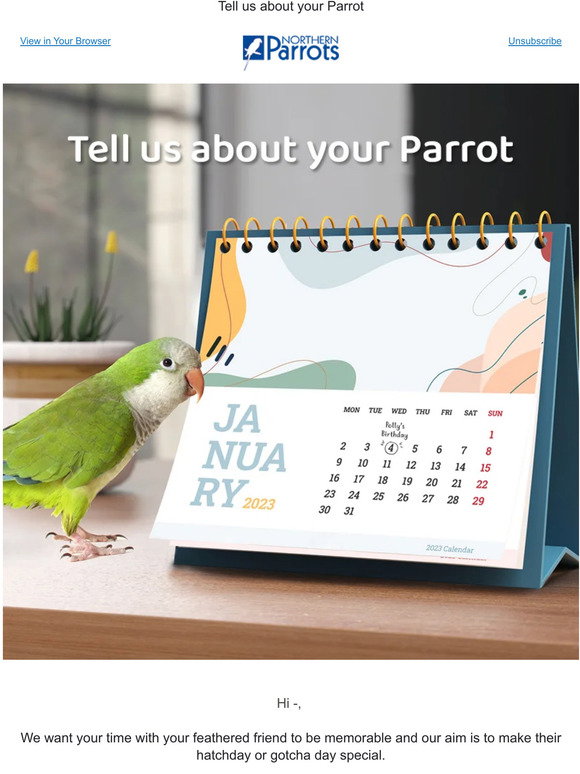 Northern Parrots: — here’s how you can make your Parrot’s hatch day or ...
