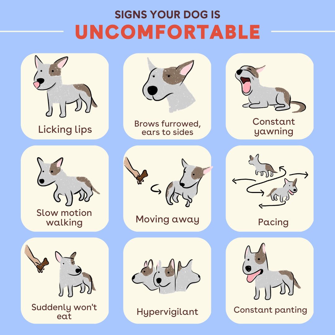 Pupford LLC: 9 Signs your pup is Uncomfortable | Milled