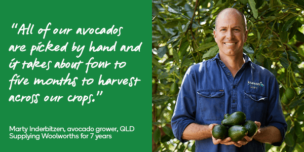 Woolworths: —, celebrate seasonal fruit and veg this autumn 🍂 | Milled