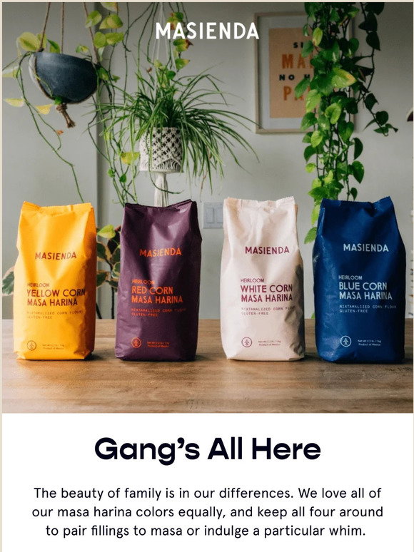 Masienda: How our four colors of masa harina are different | Milled