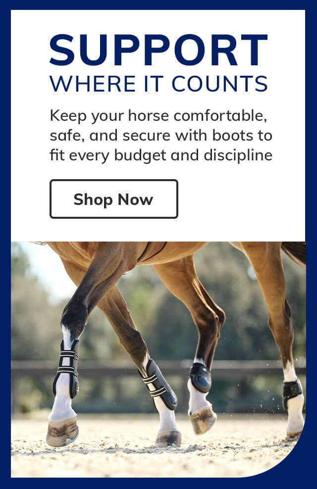 SmartPak Equine: Your Guide To Horse Boots & Wraps | Milled