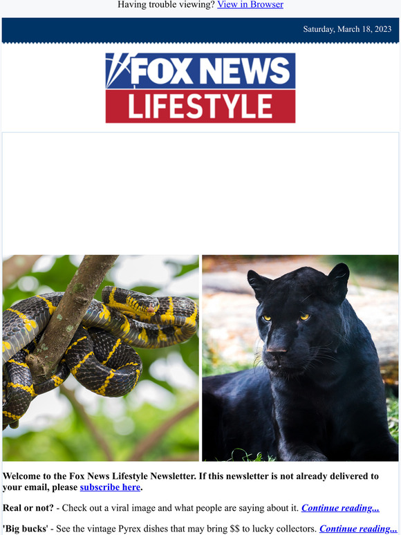 Fox News: This creature's photo seemingly fools internet users after ...