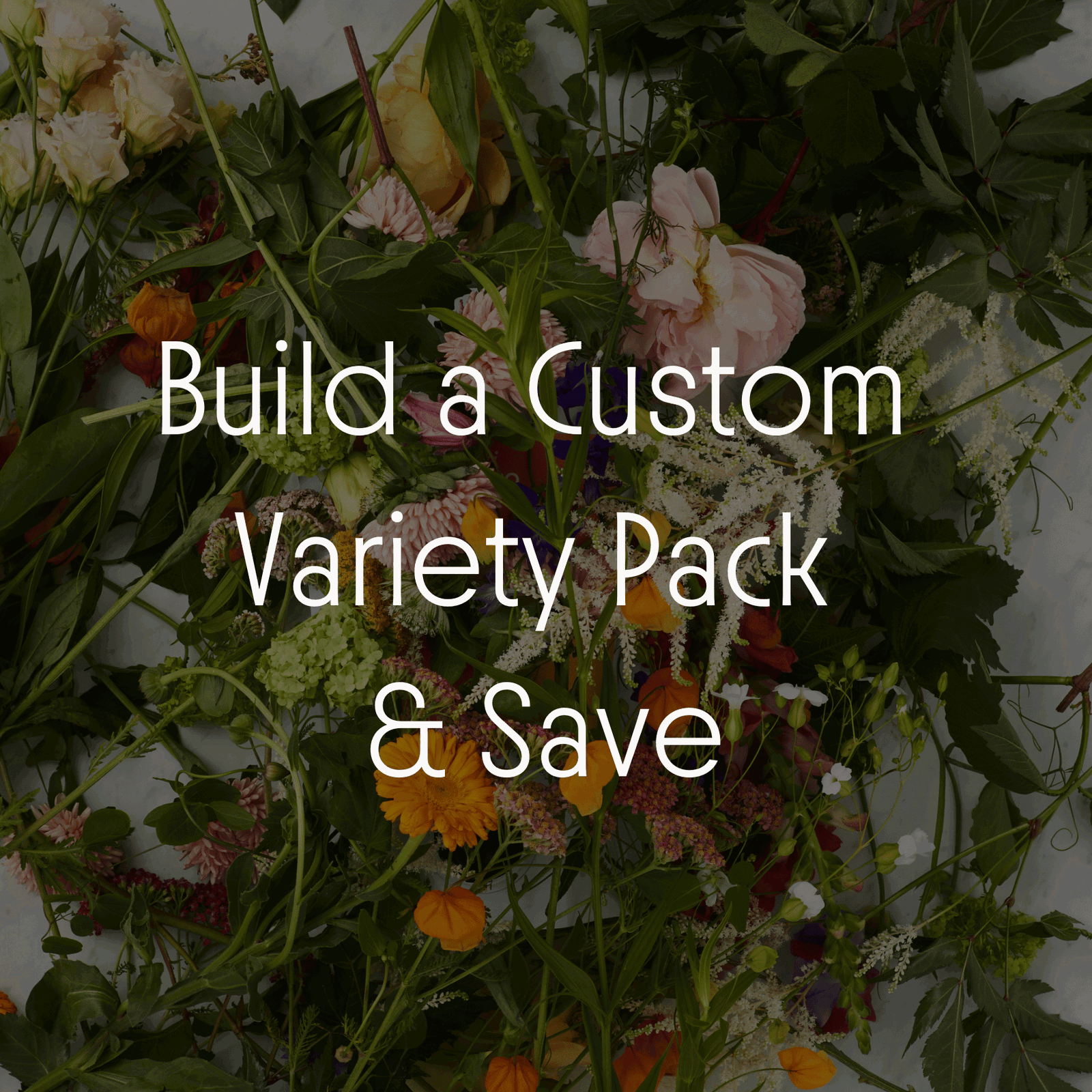 Maivino: Build Your Own Variety Pack & Save | Milled