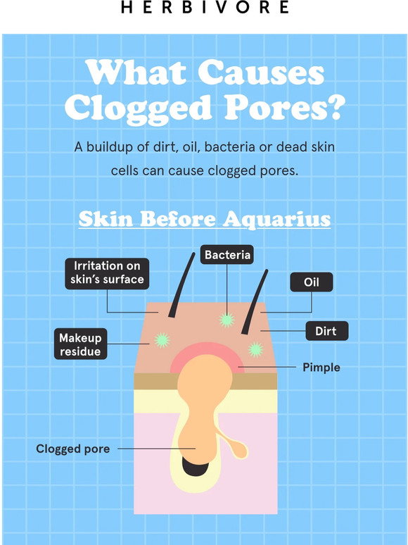 Herbivore Botanicals: The Solution for Clogged Pores 🫧 | Milled