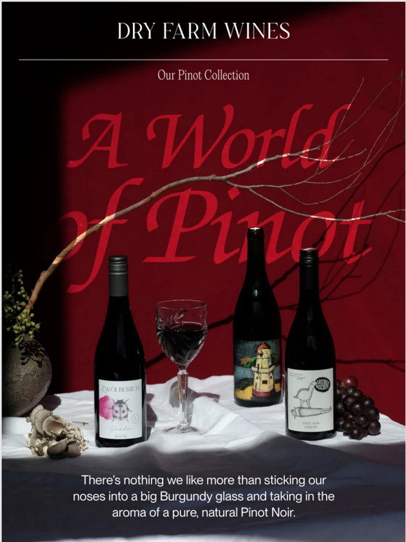 Dry Farm Wines: Our New Collection: Simply Pinot | Milled