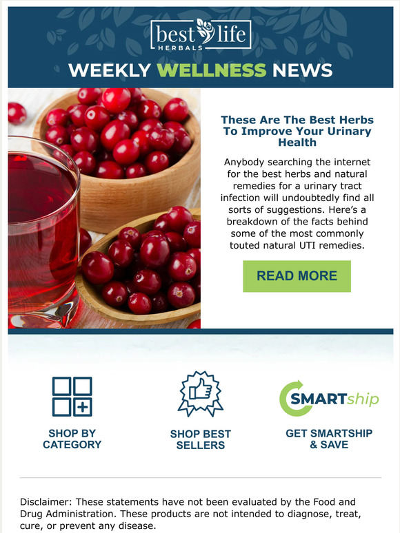 Best Life Herbals: Do You Know The Best Herbs To Improve Urinary Health ...