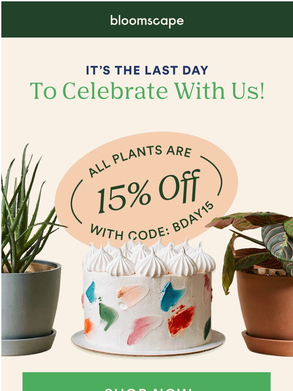 Bloomscape: LAST CALL: 15% off ends tonight! | Milled