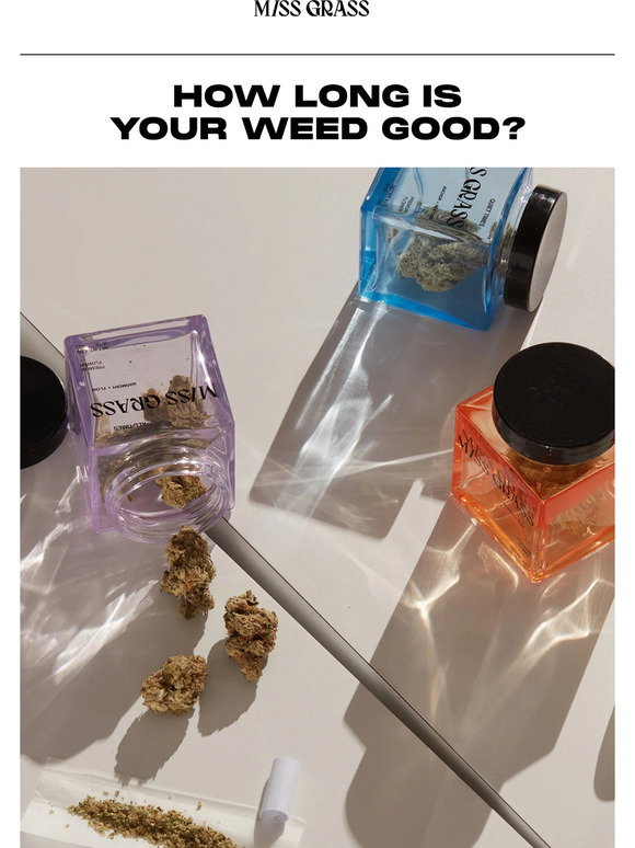 Miss Grass: does your bud go bad? | Milled