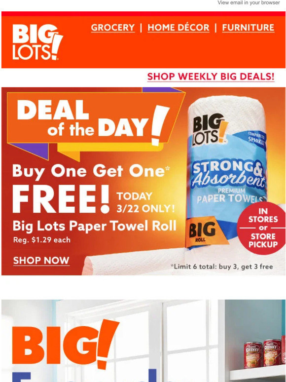Big Lots: BOGO FREE Big Lots paper towels TODAY ONLY! | Milled