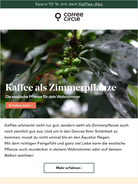 coffeecircle: Kaffeewissen – Kaffee als Zimmerpflanze | Milled