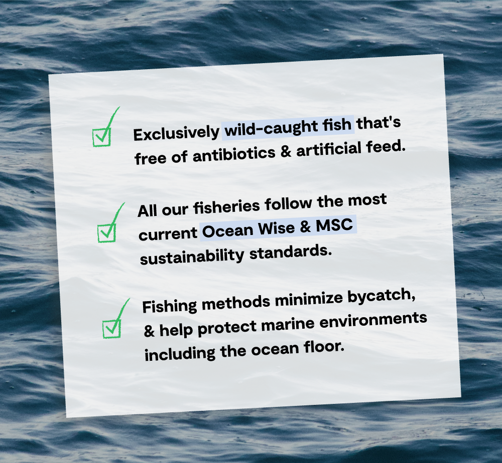 Open Farm: Our fish have passports - here's why | Milled