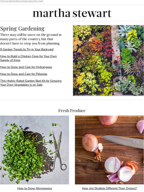Martha Stewart: 9 Garden Trends to Try in Your Backyard | Milled