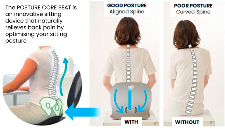 Back Pain Help: Say Goodbye to Back Pain at Your Desk with Posture Core ...