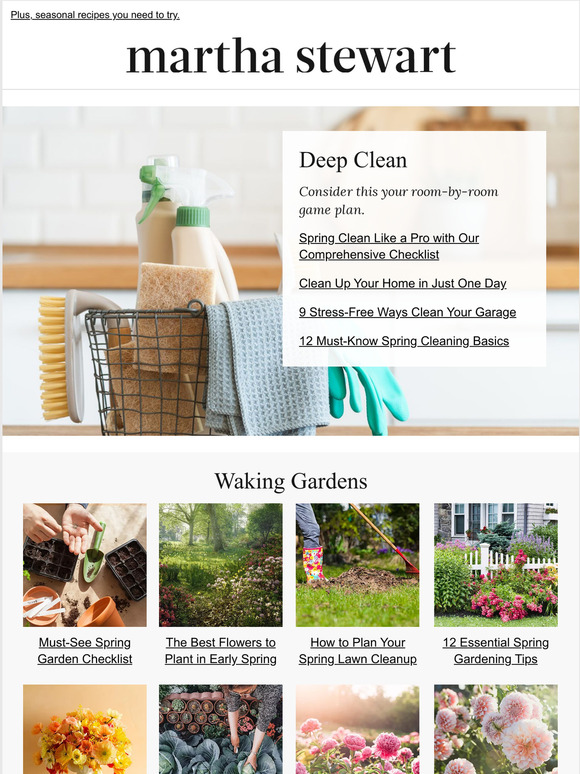 Martha Stewart: Spring Clean Like a Pro with Our Comprehensive ...