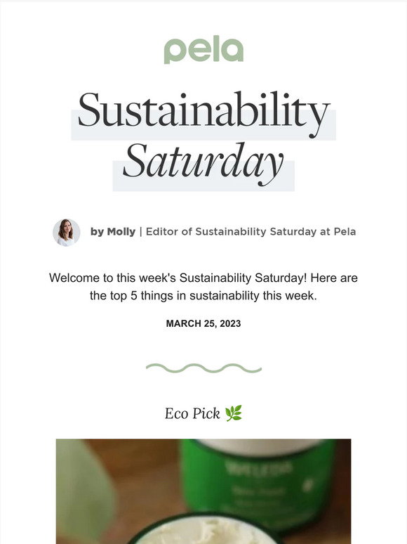 Pela Case: Sustainability Saturday | The Latest Climate Report and What ...