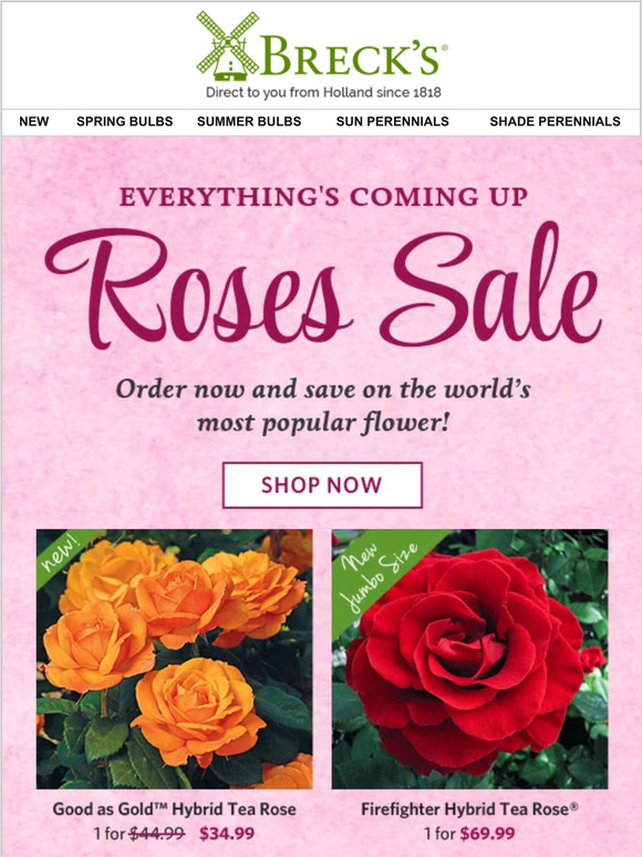 Breck's: You’ve tried our tulips—now raise our roses! | Milled