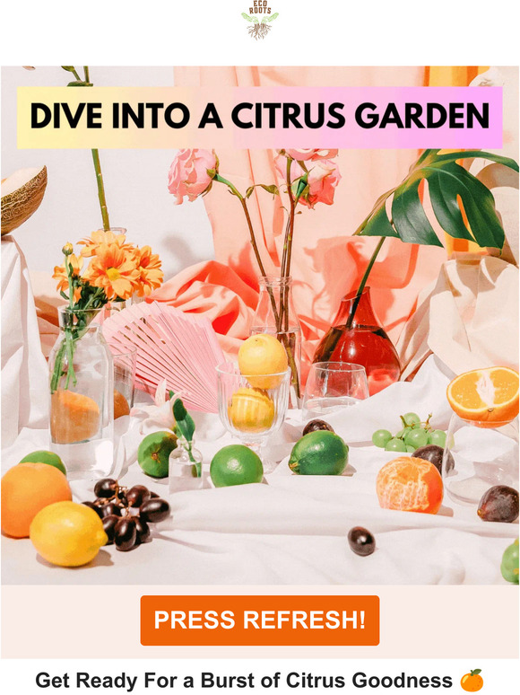 EcoRoots: A Burst of Citrus Goodness | Milled