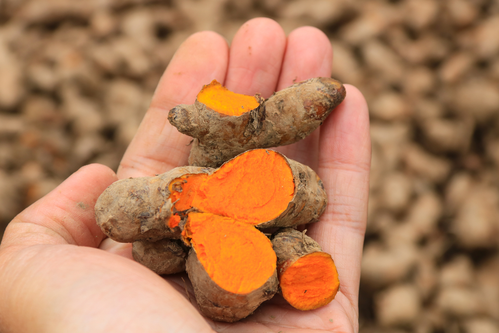 Cellinnov: Dossier Complet : 16 bienfaits de la curcumine sur votre ...