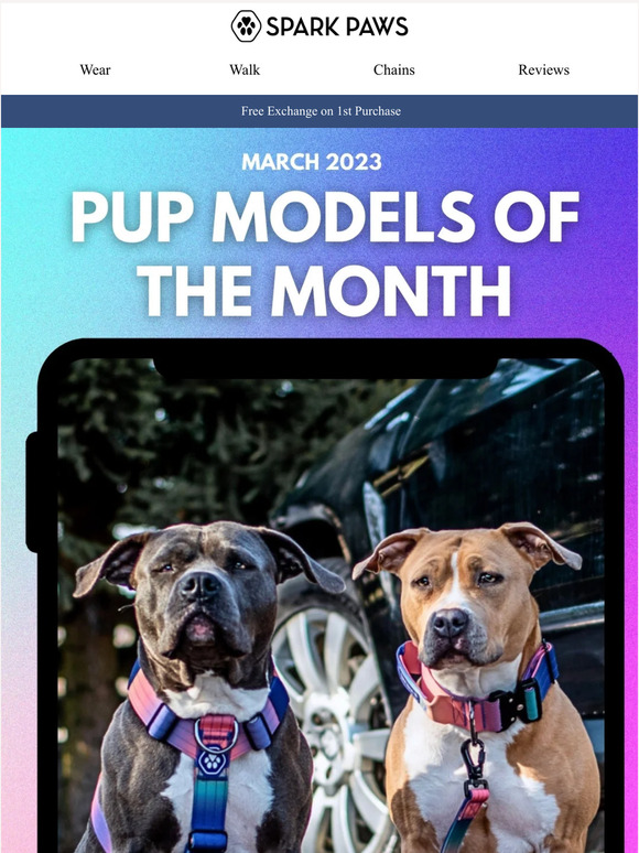 Spark Paws: Check out the pup models in spotlight this month! 😍 | Milled