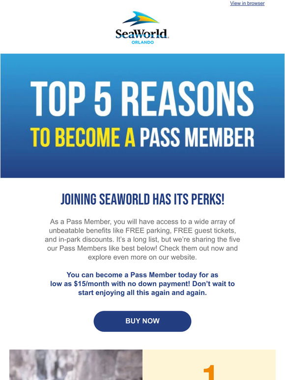 SeaWorld: Top 5 Reasons to Be a Pass Member | Milled
