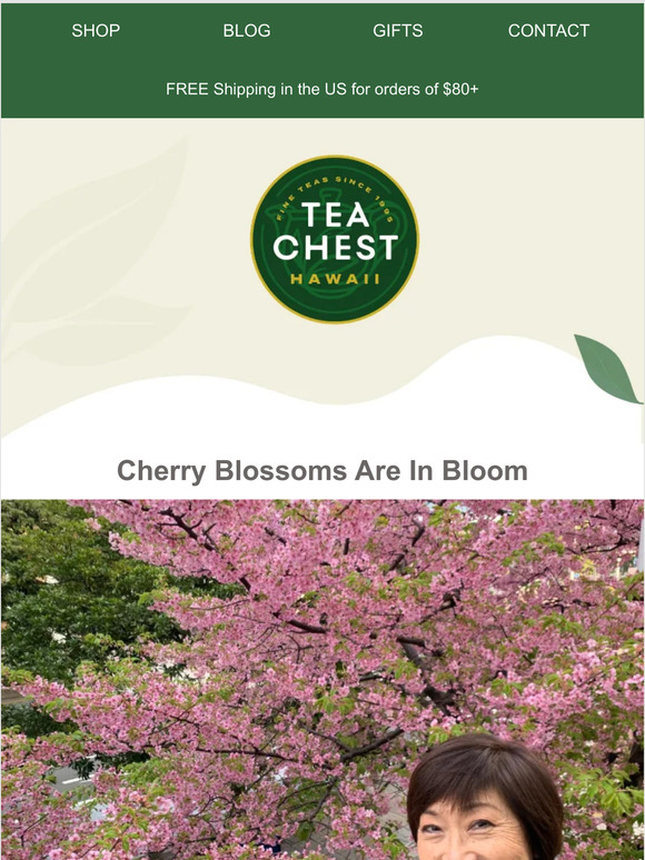 Tea Chest: Cherry Blossoms Mean Sakura Sencha | Milled