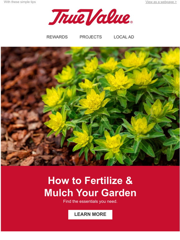 True Value: 🌻 How to Fertilize & Mulch Your Garden | Milled