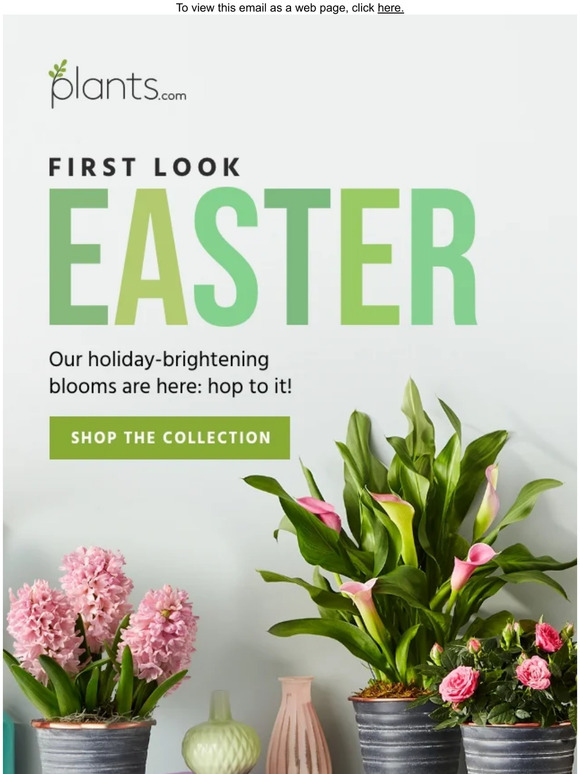 Plants.com: Easter Preview: See What's Blooming | Milled