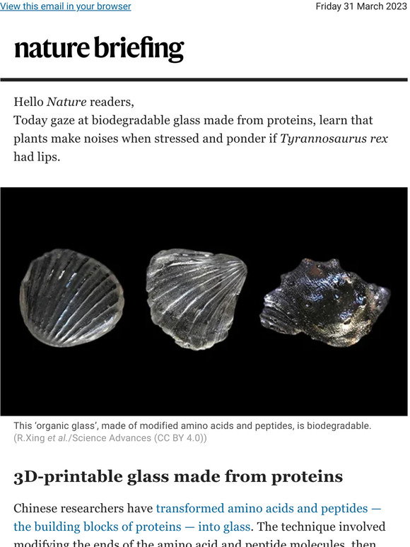 Nature: Stressed plants make noises | Milled