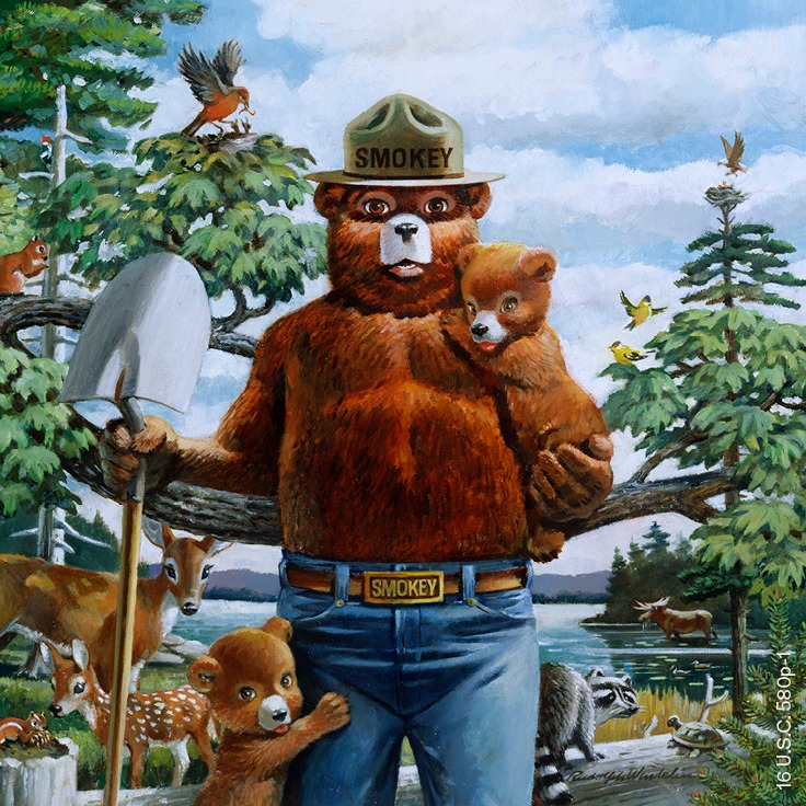 Element: Element x Smokey Bear: Promoting Wildfire Prevention | Milled