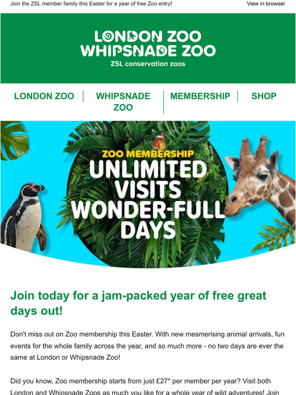 London Zoo: A whole year of wild entertainment is waiting for you! 🐯 ...