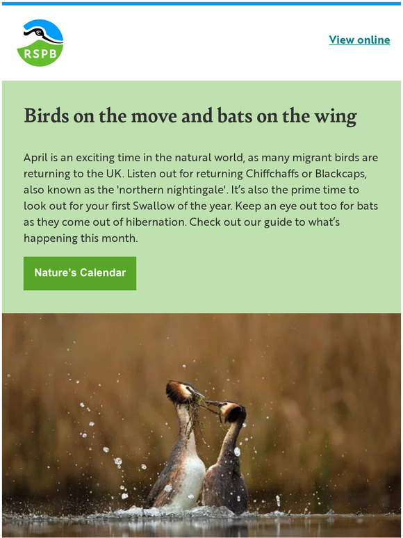 RSPB: Wild Isles: Beavers, bats and waders galore | Milled