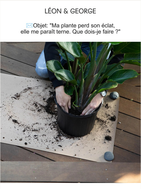 Leon & George: Votre conseiller a traité votre demande | Milled