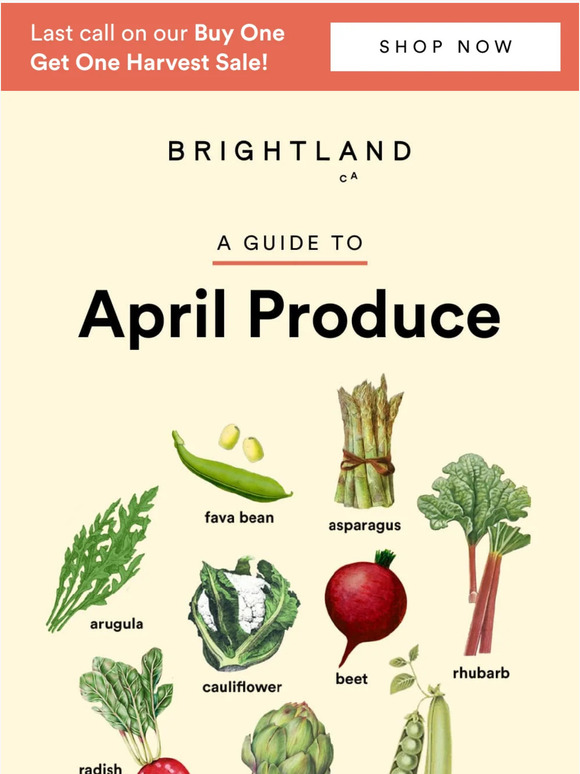 Brightland: Your Guide to April Produce | Milled