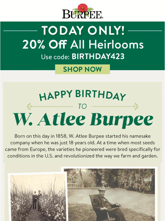 Burpee: Burpee Birthday Party! | Milled