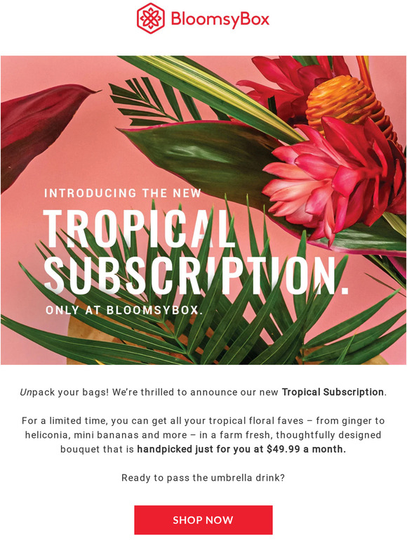 BloomsyBox: : Introducing the new Tropical Subscription 🌴🥥🌺 | Milled
