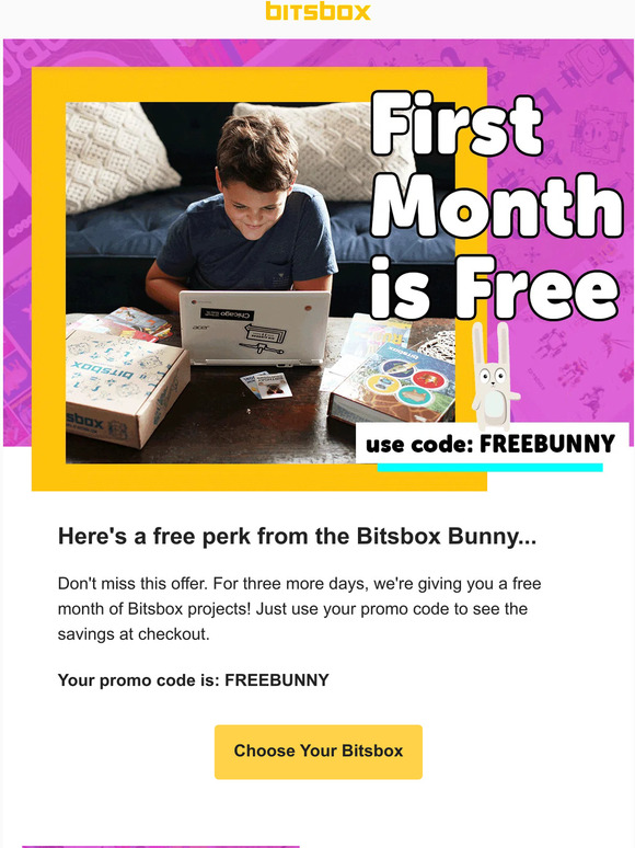 Bitsbox: 🐰 A Free Month of Bitsbox Projects | Milled