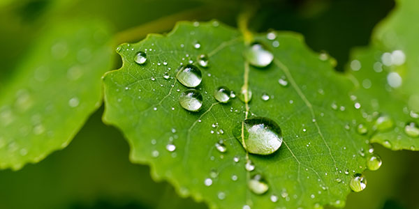 Kuhn Rikon: DER APRIL MACHT, WAS ER WILL | Milled