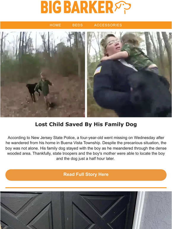 Big Barker: Lost Child Saved By His Family Dog | Milled