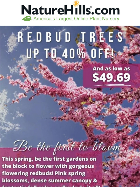 Nature Hills Nursery: #ProPlantTip: Add early spring color with these ...