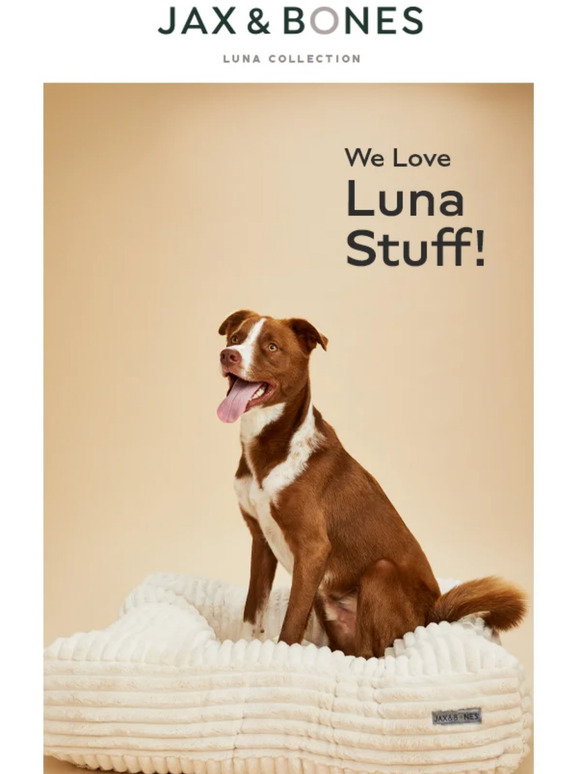 Jax & Bones: BEST IN SHOW, Introducing Luna Collection | Milled