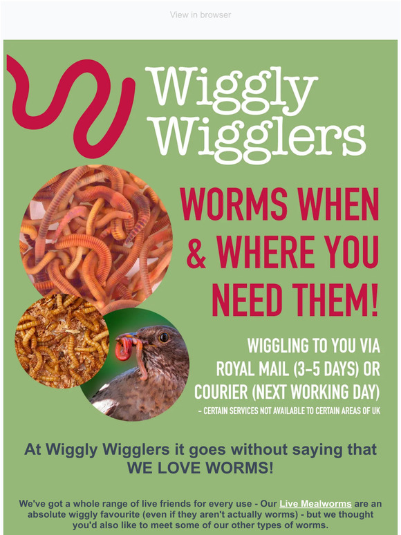 Wiggly Wigglers: Live Worms where and when you need them! | Milled