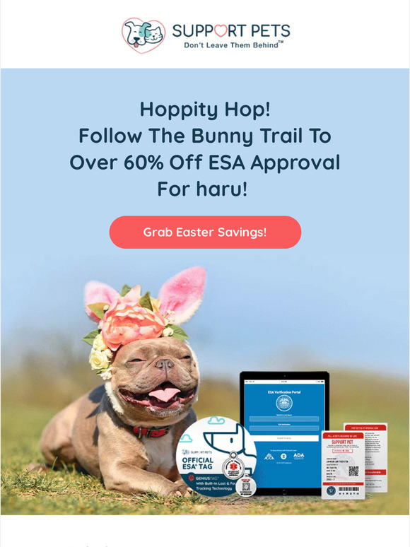 Support Pets: Easter Isn’t Just Bunny Season - It’s Official ESA ...