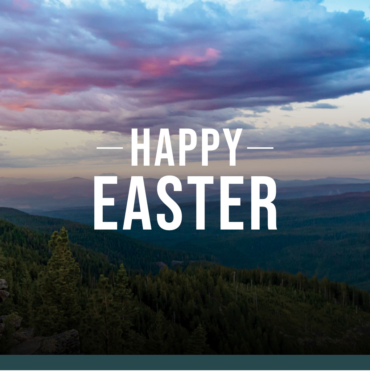 Bass Pro Shops: Happy Easter From Bass Pro Shops! | Milled