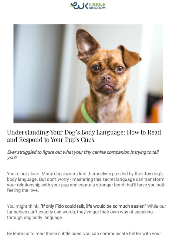 Wiggle Kingdom: Understanding Your Dog’s Body Language: How to Read and ...