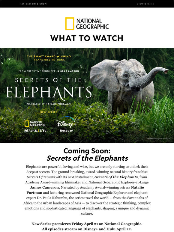 National Geographic: What to Watch: Secrets of the Elephants | Milled