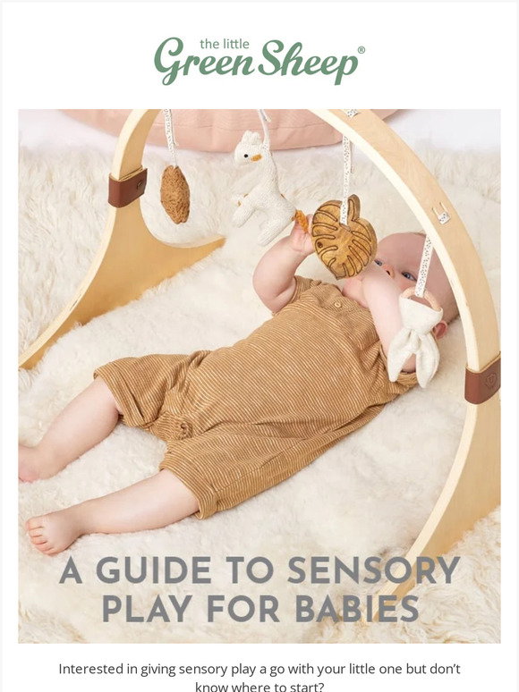 The Little Green Sheep: Your Guide to Sensory Playtime 🧸🧩 | Milled