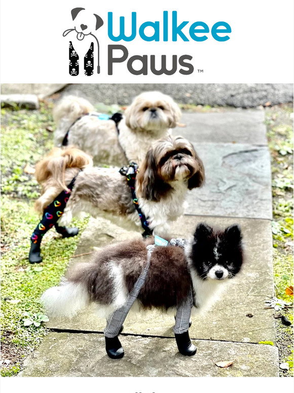 Walkee Paws: Rain and allergies and burrs, oh my! | Milled